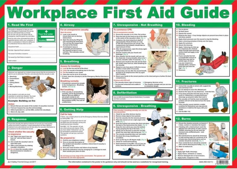 LARGE FIRST AID WALL CHART WITH ILLUSTRATIONS | Euro Medical & First ...